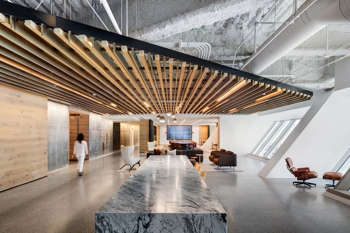 Spušteni plafoni - VUK 035 PROFESSIONAL